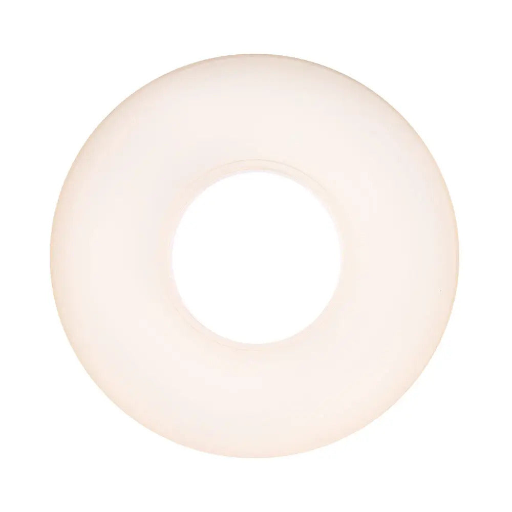 Waldent Backscatter Shield for V- Light Eco Gold DC X-Ray Machine ...