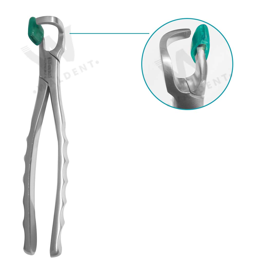 Waldent Physics Forceps Set of 2 K1/4 – Waldent.com