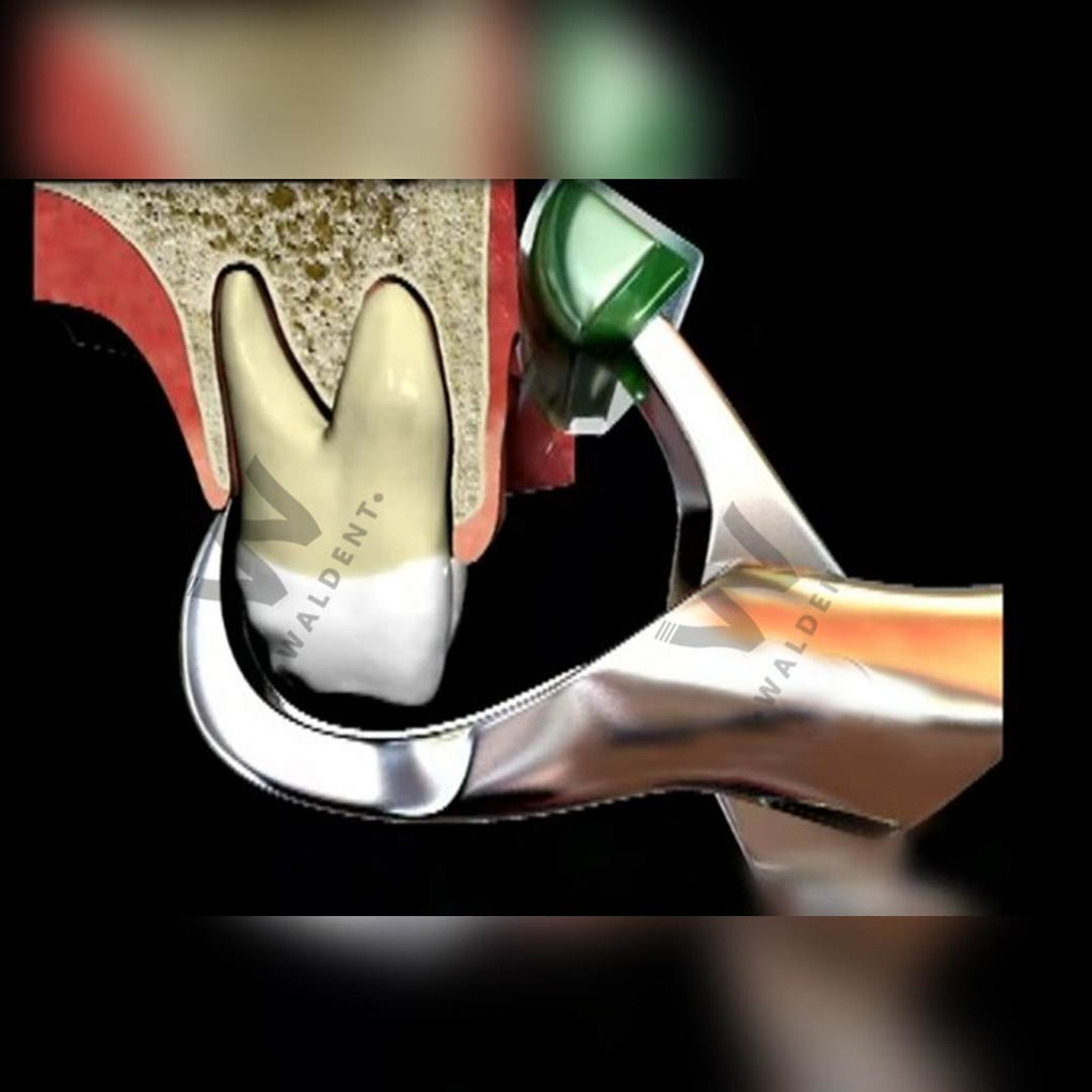 Waldent Physics Forceps Set of 5 (K1/3) – Waldent.com